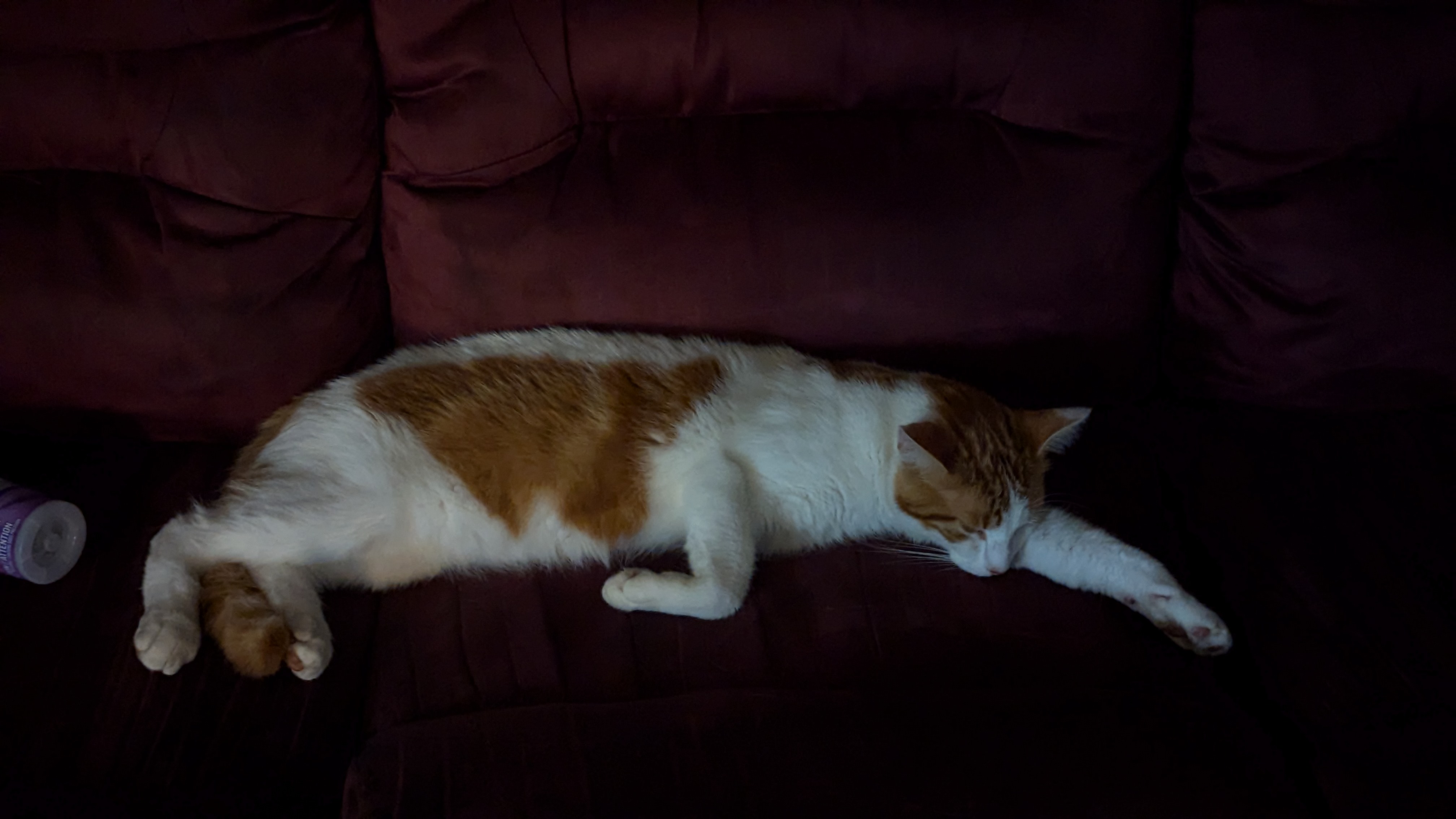 He was too young too Immature he sat with me on fajita night. You don't ...